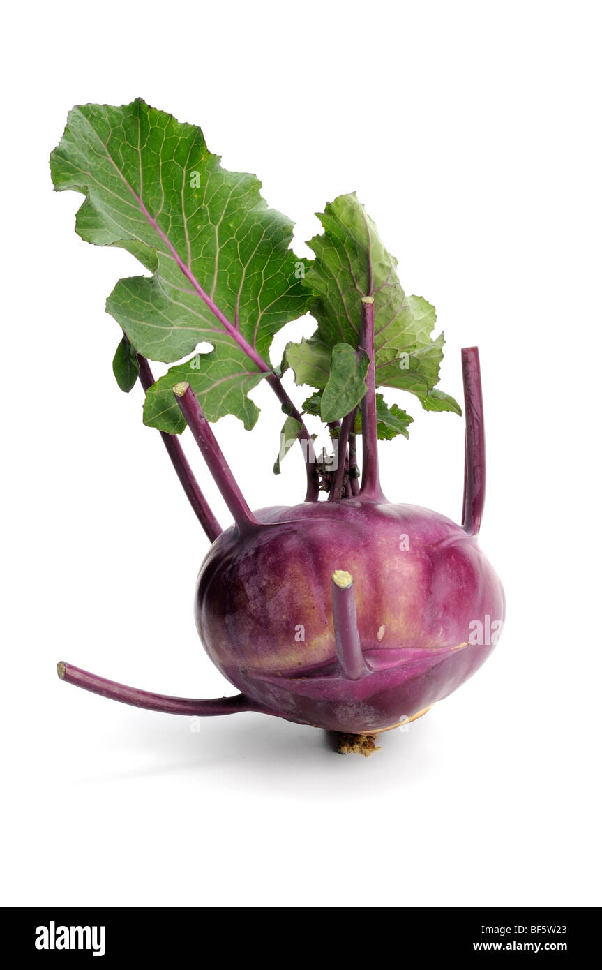 Kohl rabi -Fotos und -Bildmaterial in hoher Auflösung – Alamy
