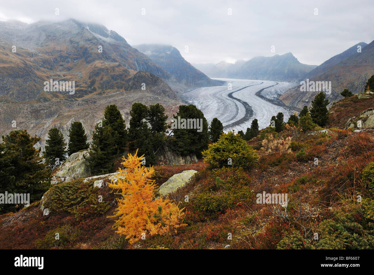 Aletschgletscher, UNESCO-Welterbe Jungfrau-Aletsch-Bietschhorn, Goms ...
