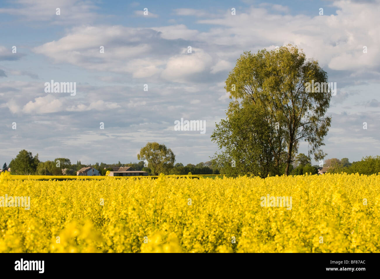 Typische polnische landschaft -Fotos und -Bildmaterial in hoher ...