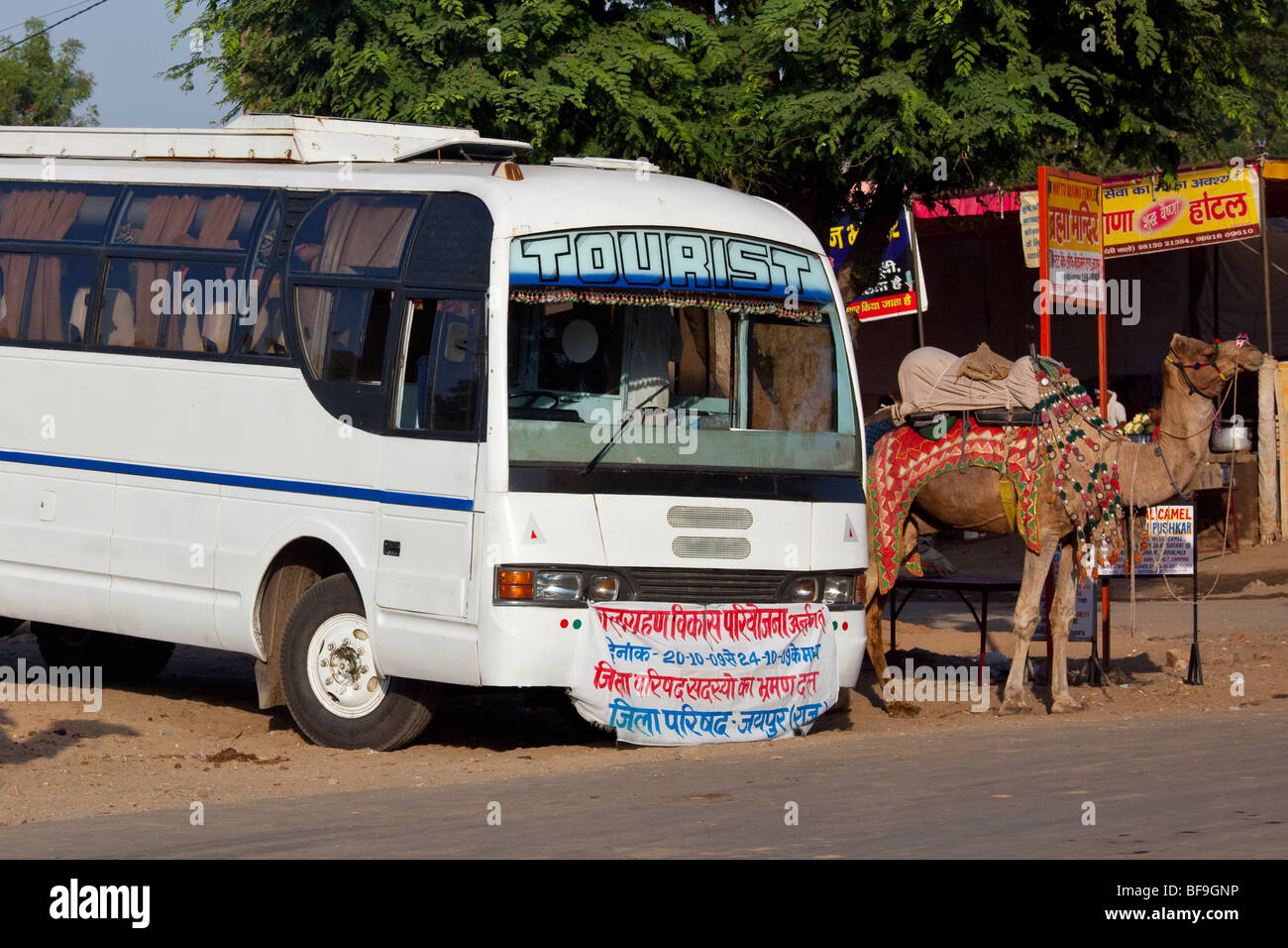 Camel bus -Fotos und -Bildmaterial in hoher Auflösung – Alamy