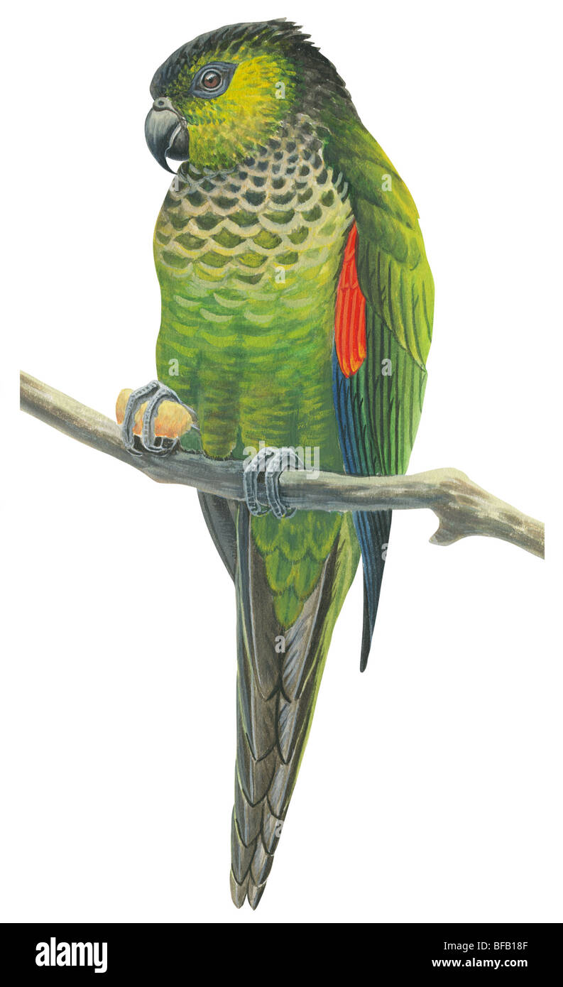 Rocket science -Fotos und -Bildmaterial in hoher Auflösung – Alamy