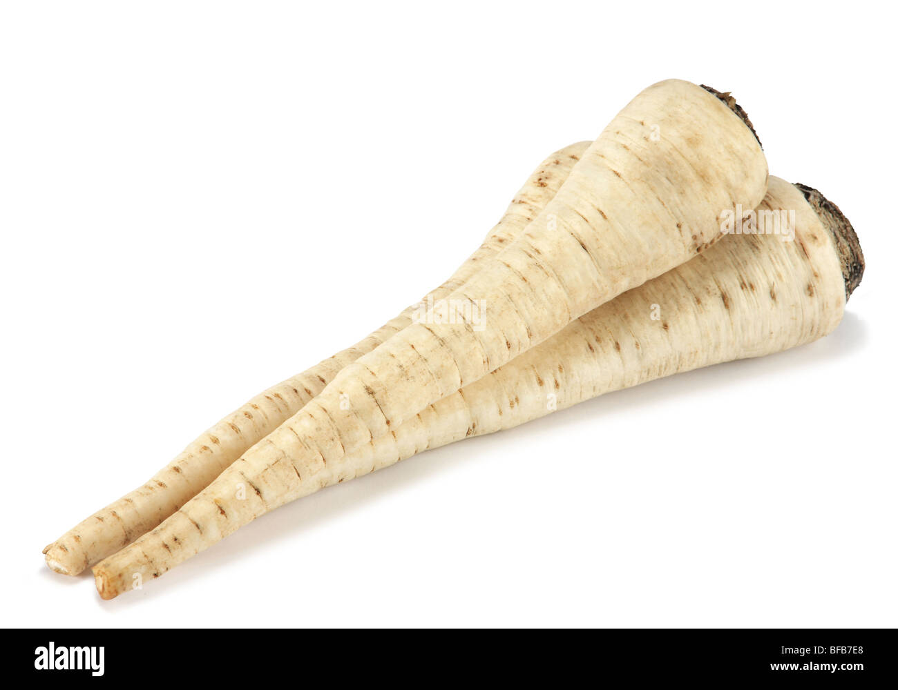 Wurzel aus petersilie -Fotos und -Bildmaterial in hoher Auflösung – Alamy