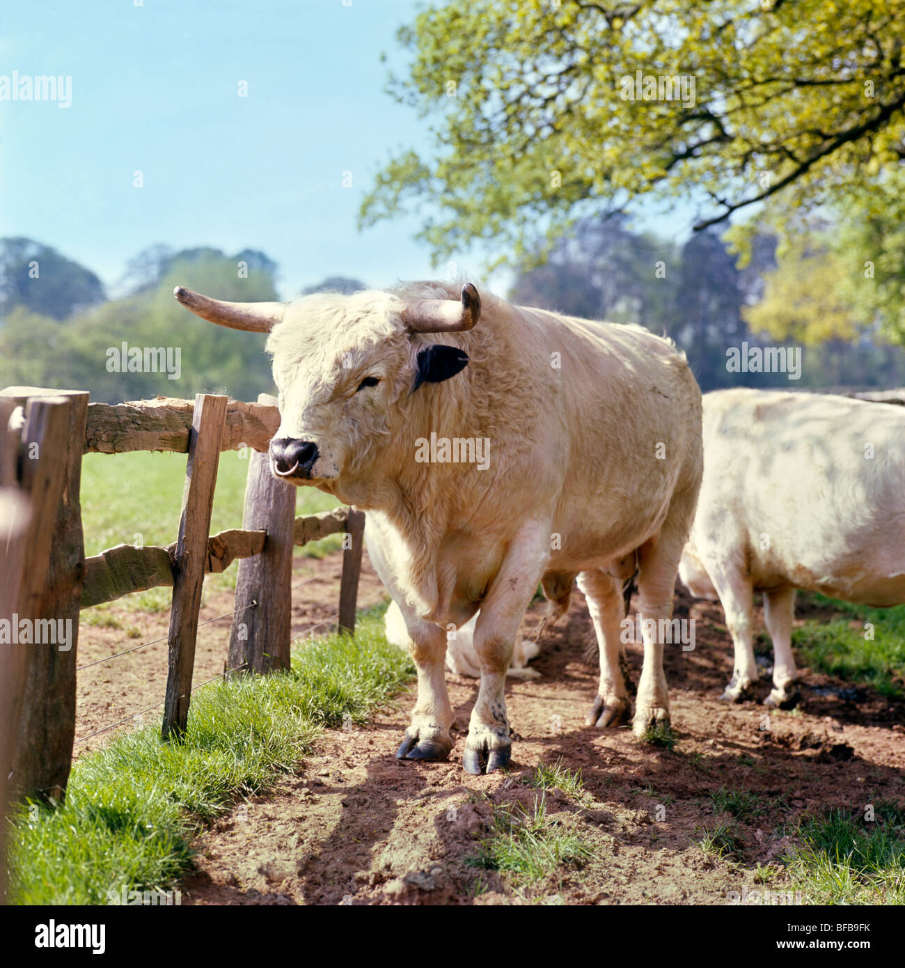 Nationales landwirtschaftszentrum -Fotos und -Bildmaterial in hoher ...