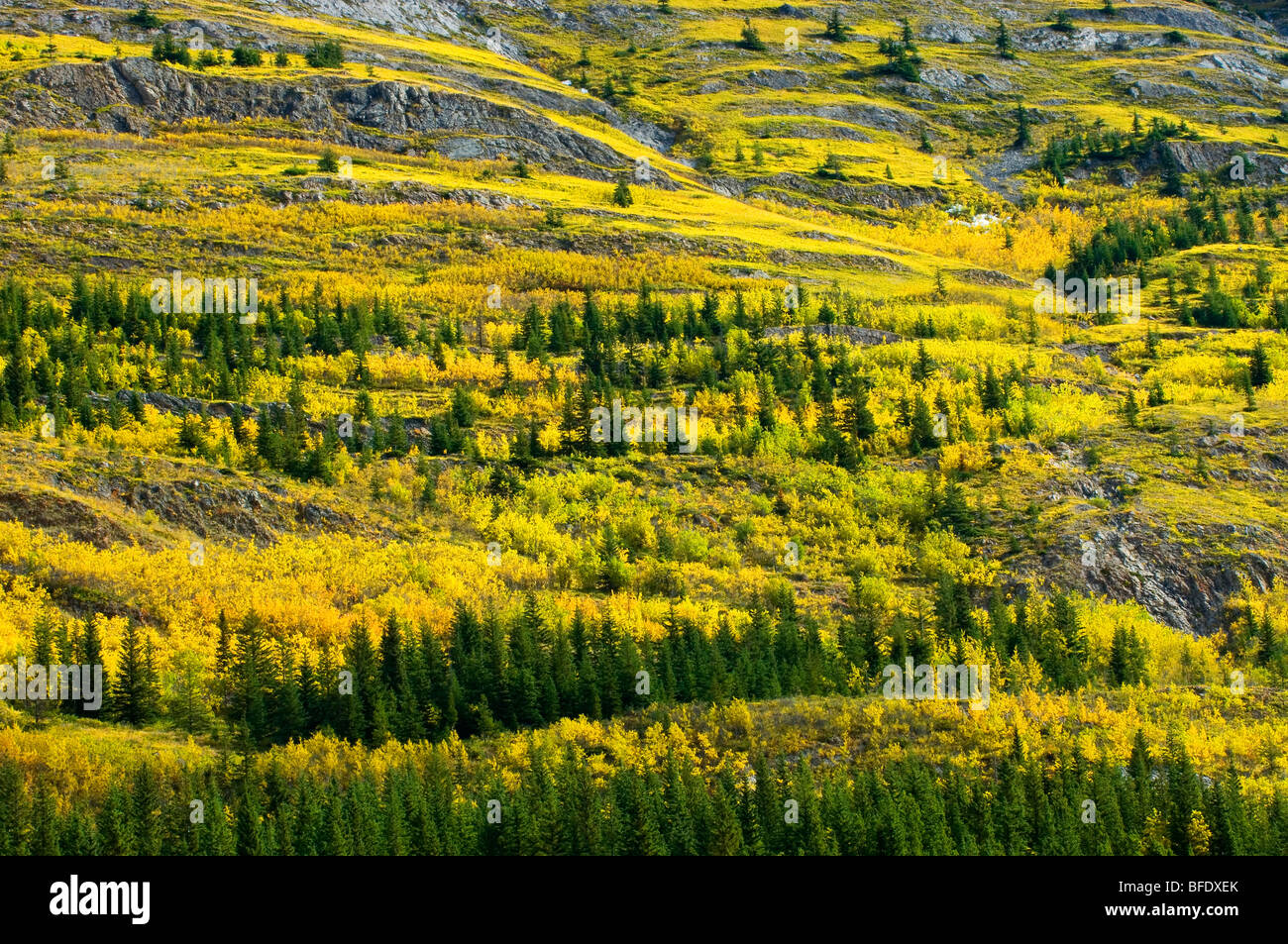 Berghang im herbst -Fotos und -Bildmaterial in hoher Auflösung – Alamy