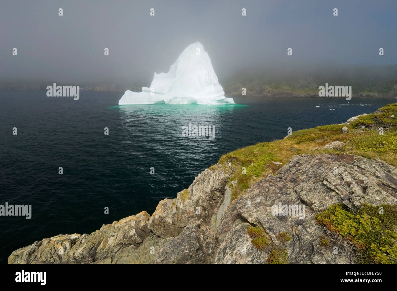 Eisberg im nebel -Fotos und -Bildmaterial in hoher Auflösung – Alamy