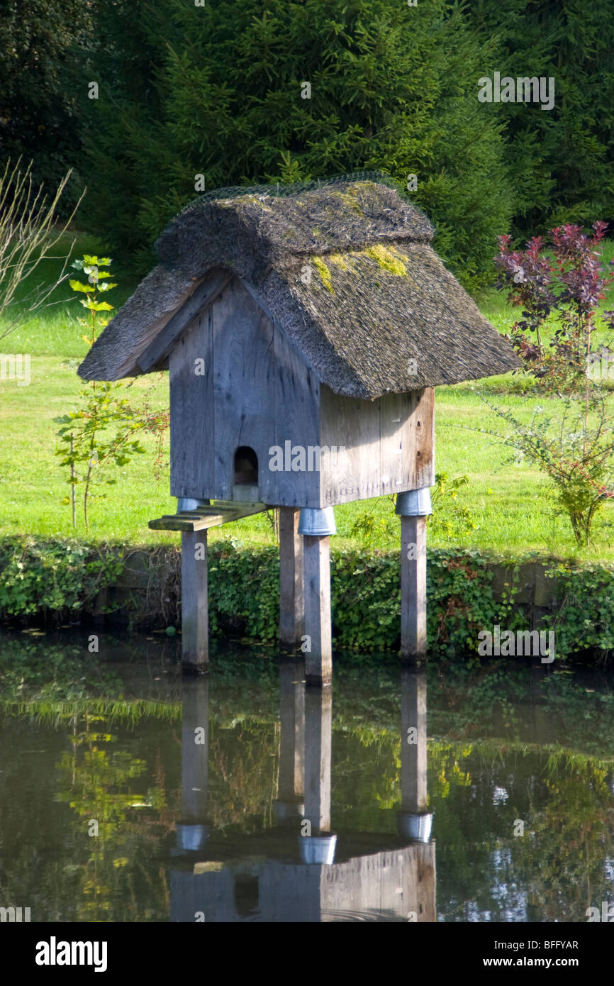 Enten auf dem dach -Fotos und -Bildmaterial in hoher Auflösung – Alamy