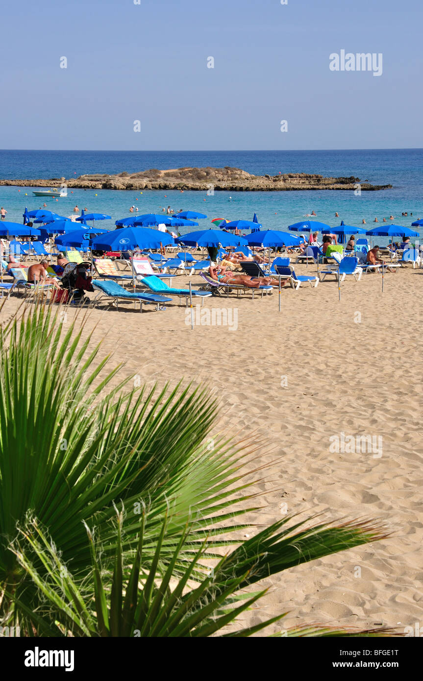 Protaras beach cyprus fig tree bay -Fotos und -Bildmaterial in hoher ...