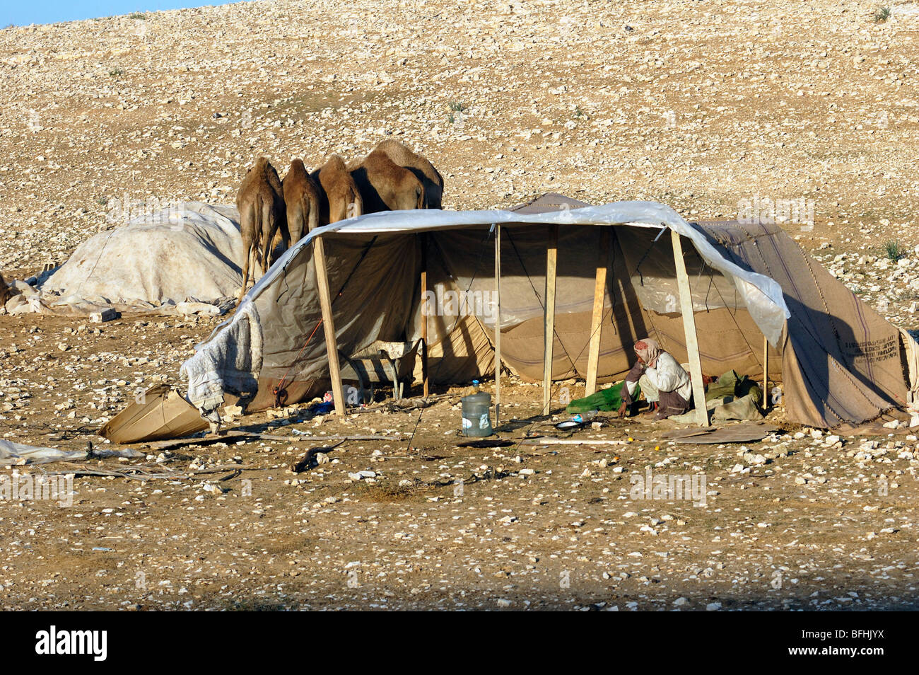 Bedouin tent camel -Fotos und -Bildmaterial in hoher Auflösung – Alamy