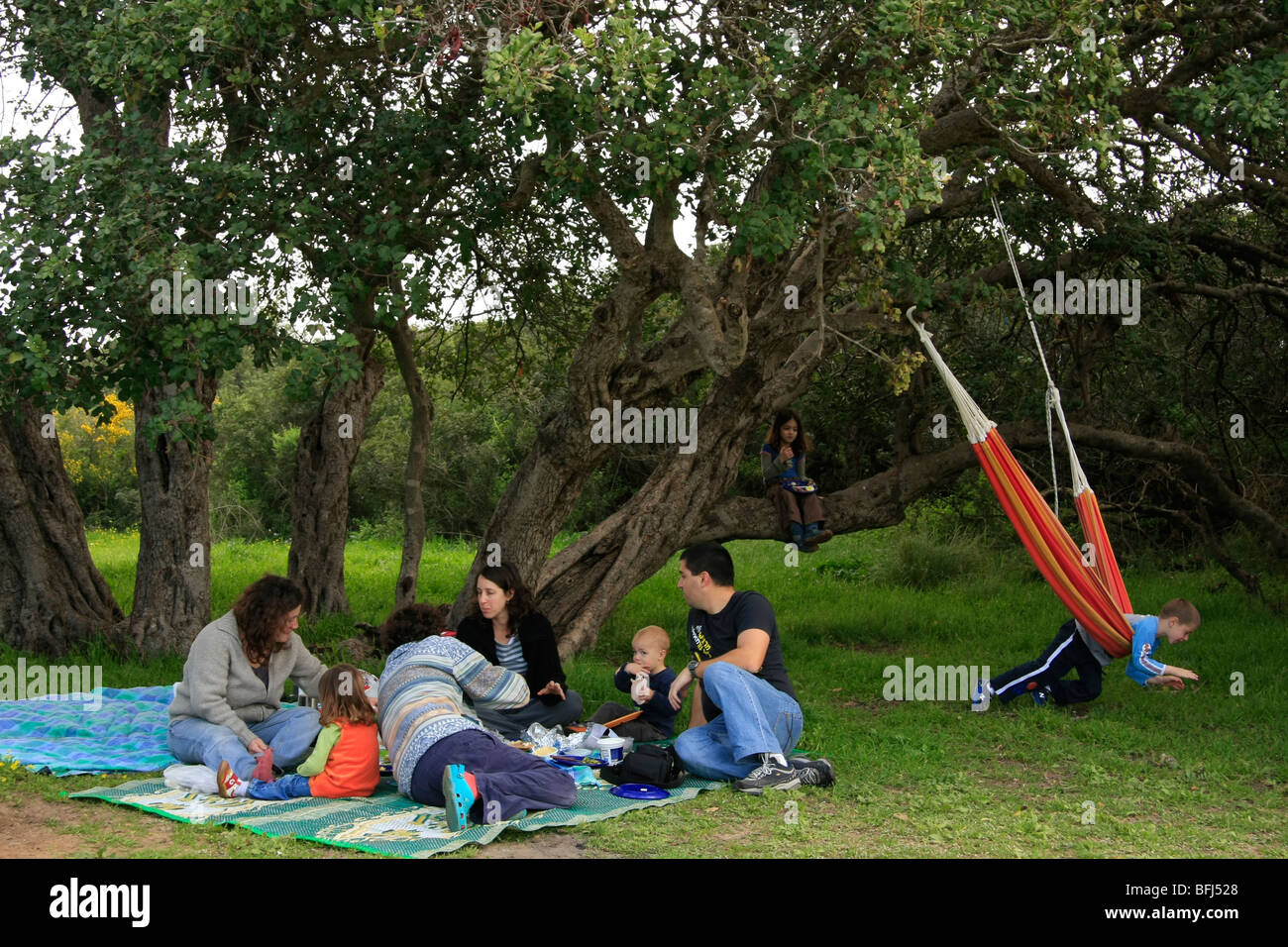 Nature reserve park -Fotos und -Bildmaterial in hoher Auflösung – Alamy
