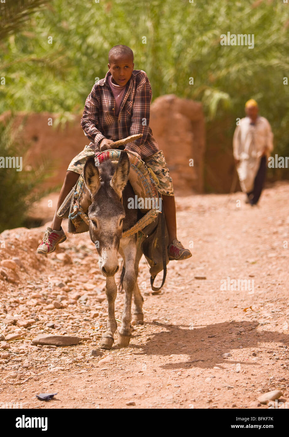 Donkey riding -Fotos und -Bildmaterial in hoher Auflösung – Alamy