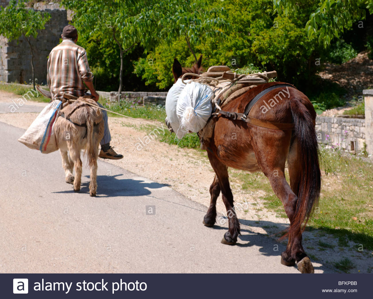 Donkey Riding Stockfotos & Donkey Riding Bilder - Alamy