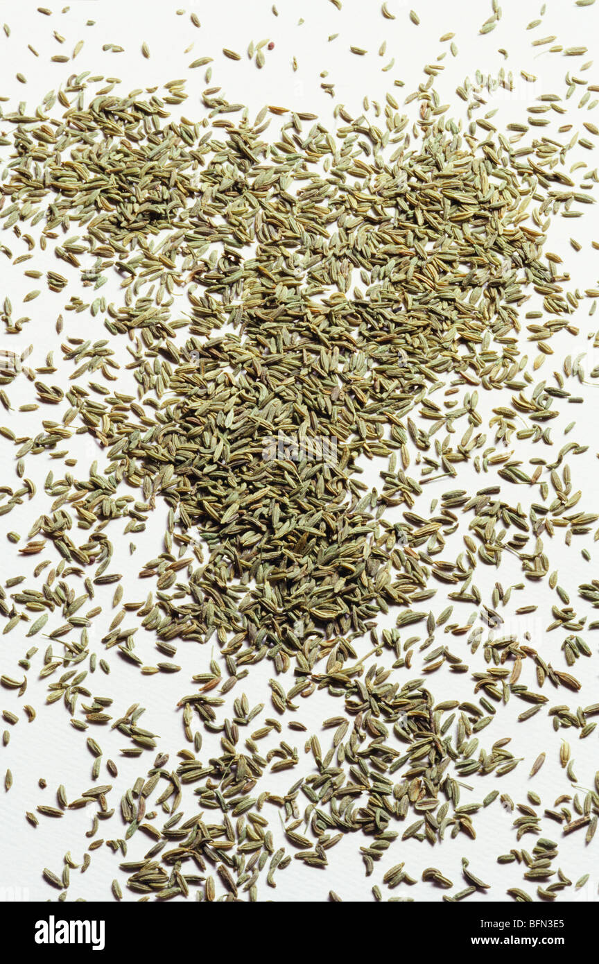 Badi hintergrund -Fotos und -Bildmaterial in hoher Auflösung – Alamy