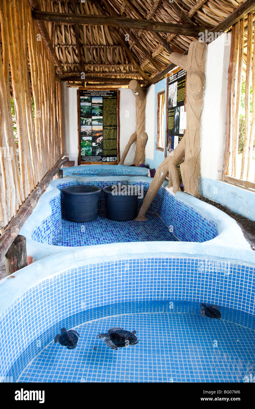 Turtle Conservation Center. Monterrico Naturschutzgebiet Reserva ...