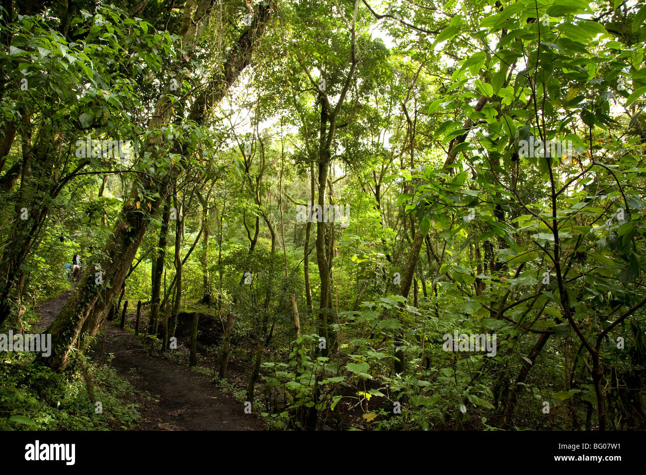 Vulkan de pacaya -Fotos und -Bildmaterial in hoher Auflösung – Alamy