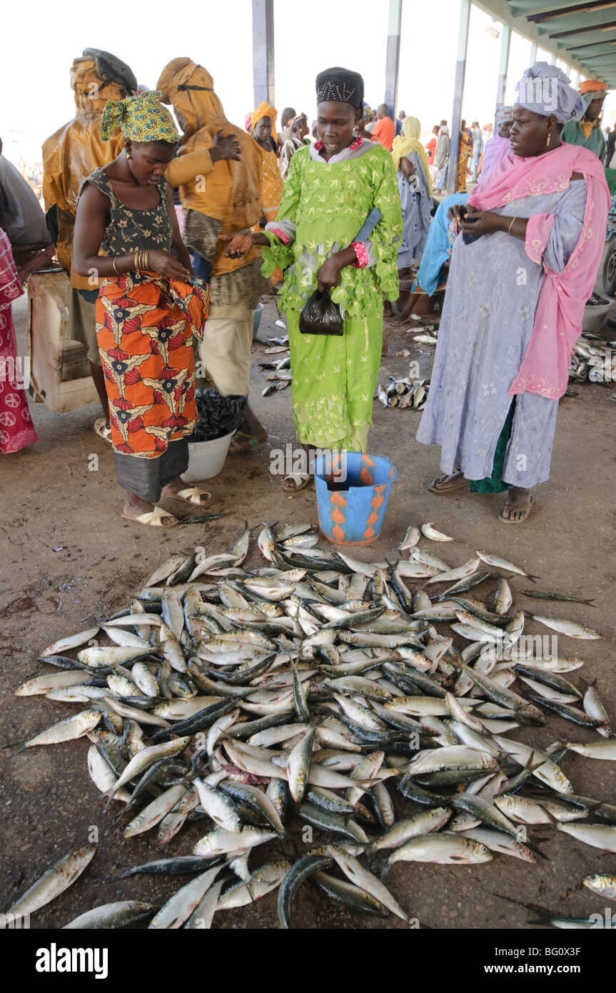 Fish market senegal -Fotos und -Bildmaterial in hoher Auflösung – Alamy