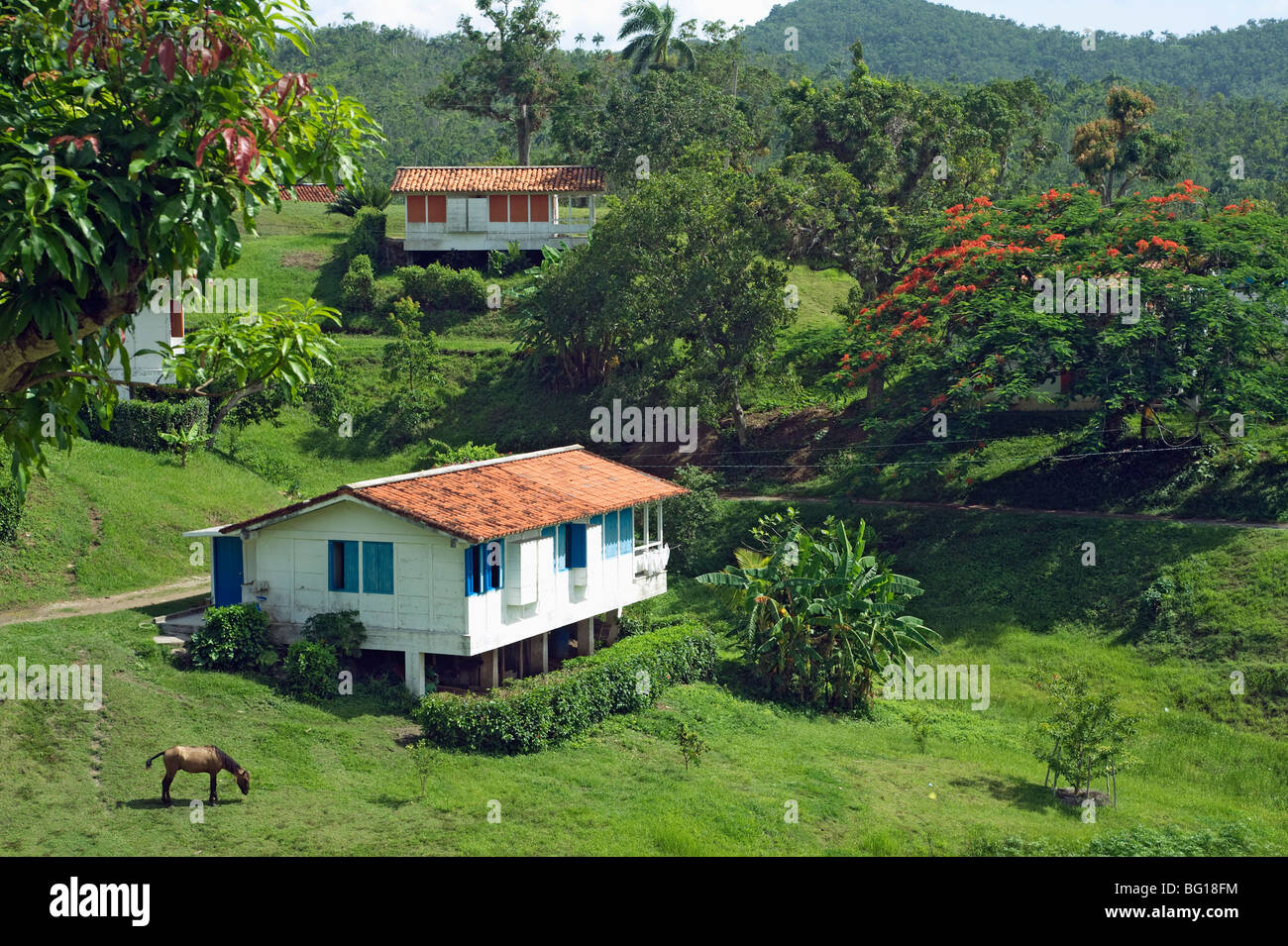 Bungalows, Las Terrazas, Sierra del Rosario Natur und Biosphären ...