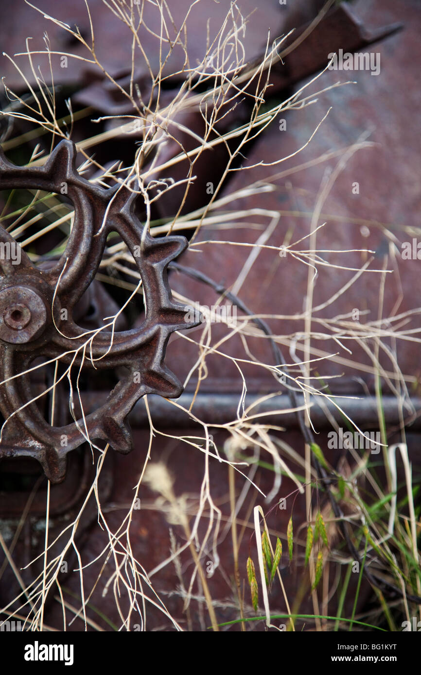 Auf einem feld rosten -Fotos und -Bildmaterial in hoher Auflösung – Alamy