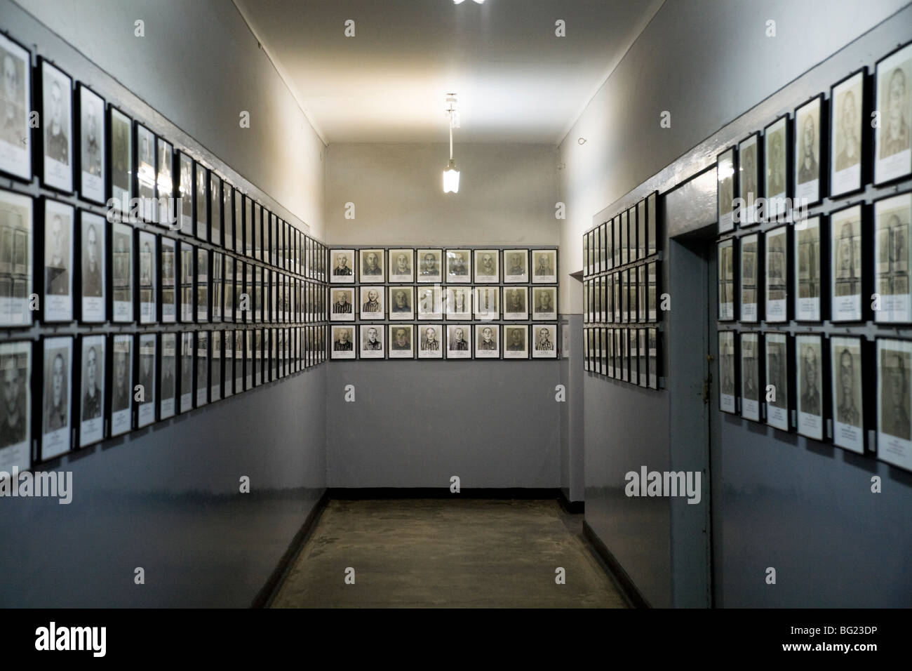 Fotografien von Gefangenen / Opfer des Nationalsozialismus / SS, an den ...