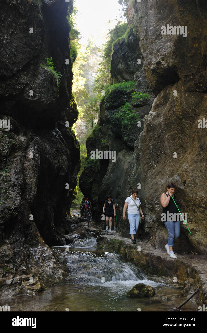 Tal der horne diery -Fotos und -Bildmaterial in hoher Auflösung – Alamy
