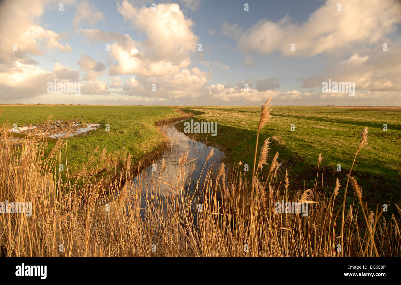 Flaches marschland -Fotos und -Bildmaterial in hoher Auflösung – Alamy