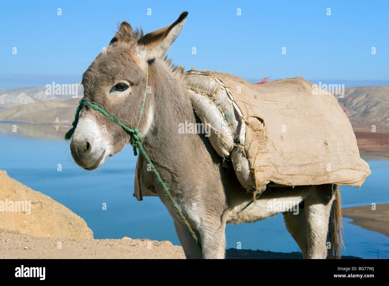 Haltern reservoir -Fotos und -Bildmaterial in hoher Auflösung – Alamy