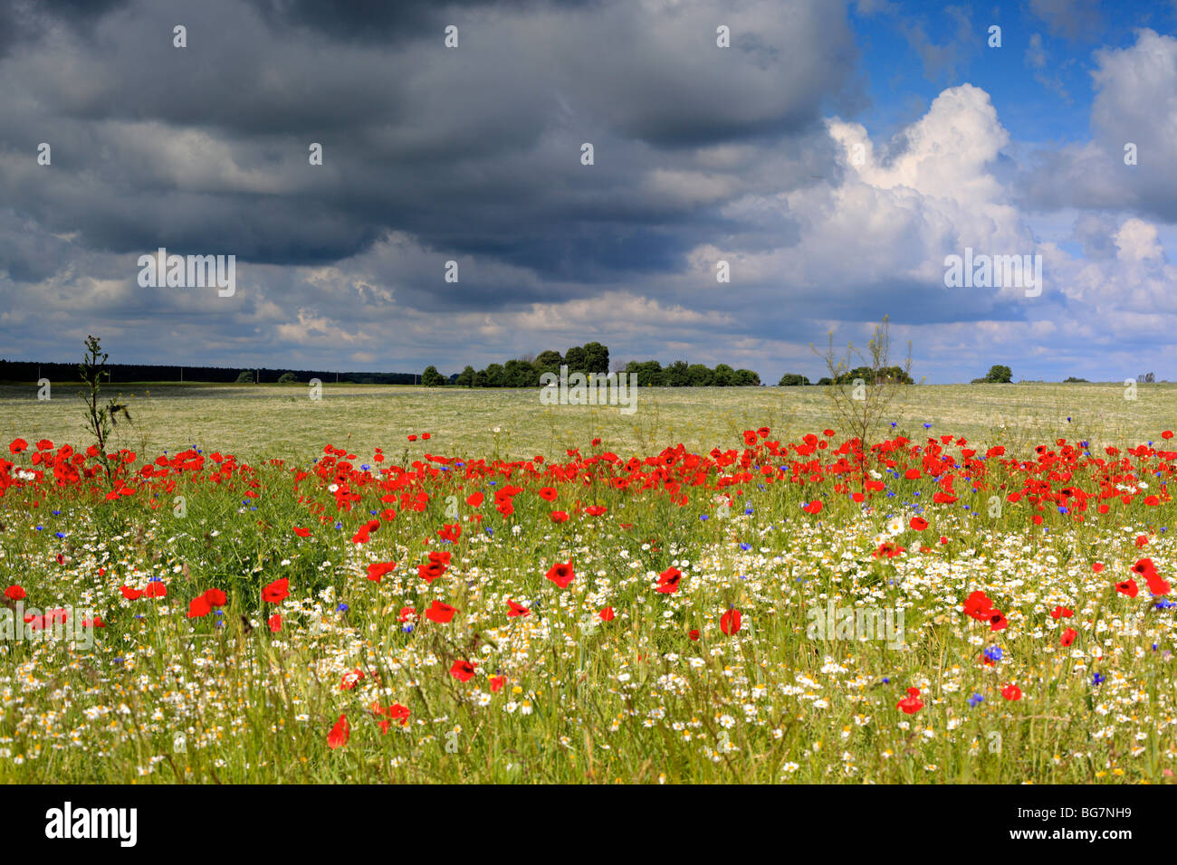 Ukraine landschaft -Fotos und -Bildmaterial in hoher Auflösung – Alamy