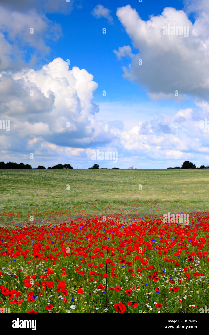 Ukraine landschaft -Fotos und -Bildmaterial in hoher Auflösung – Alamy