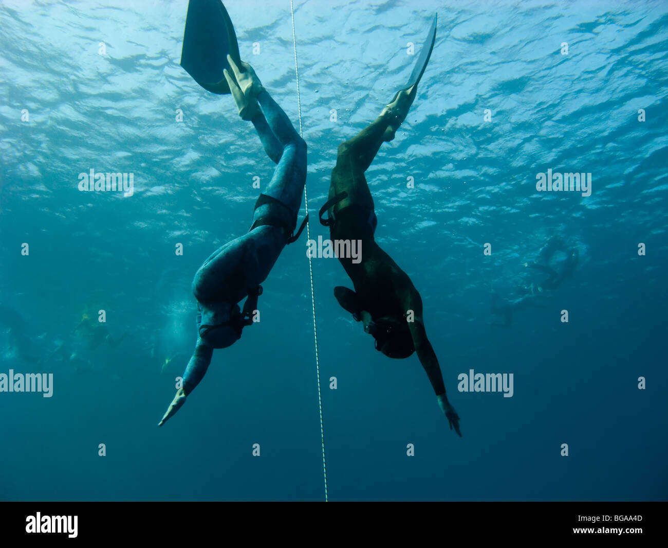 Freitauchen tauchen -Fotos und -Bildmaterial in hoher Auflösung – Alamy