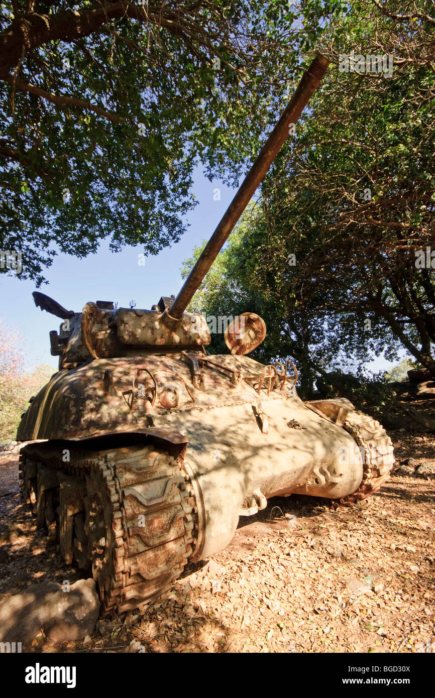 Golanhöhen, Israel. Eine verlassene alte "Sherman" Tank getarnt unter ...