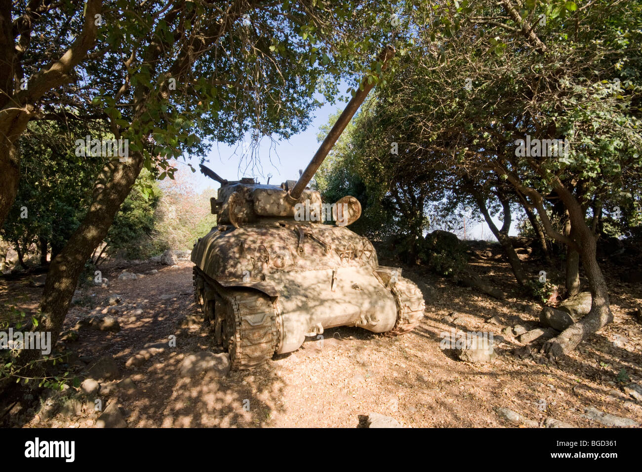 Golanhöhen, Israel. Eine verlassene alte "Sherman" Tank getarnt unter ...