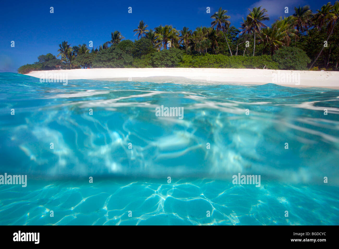 Fidschi inseln -Fotos und -Bildmaterial in hoher Auflösung – Alamy
