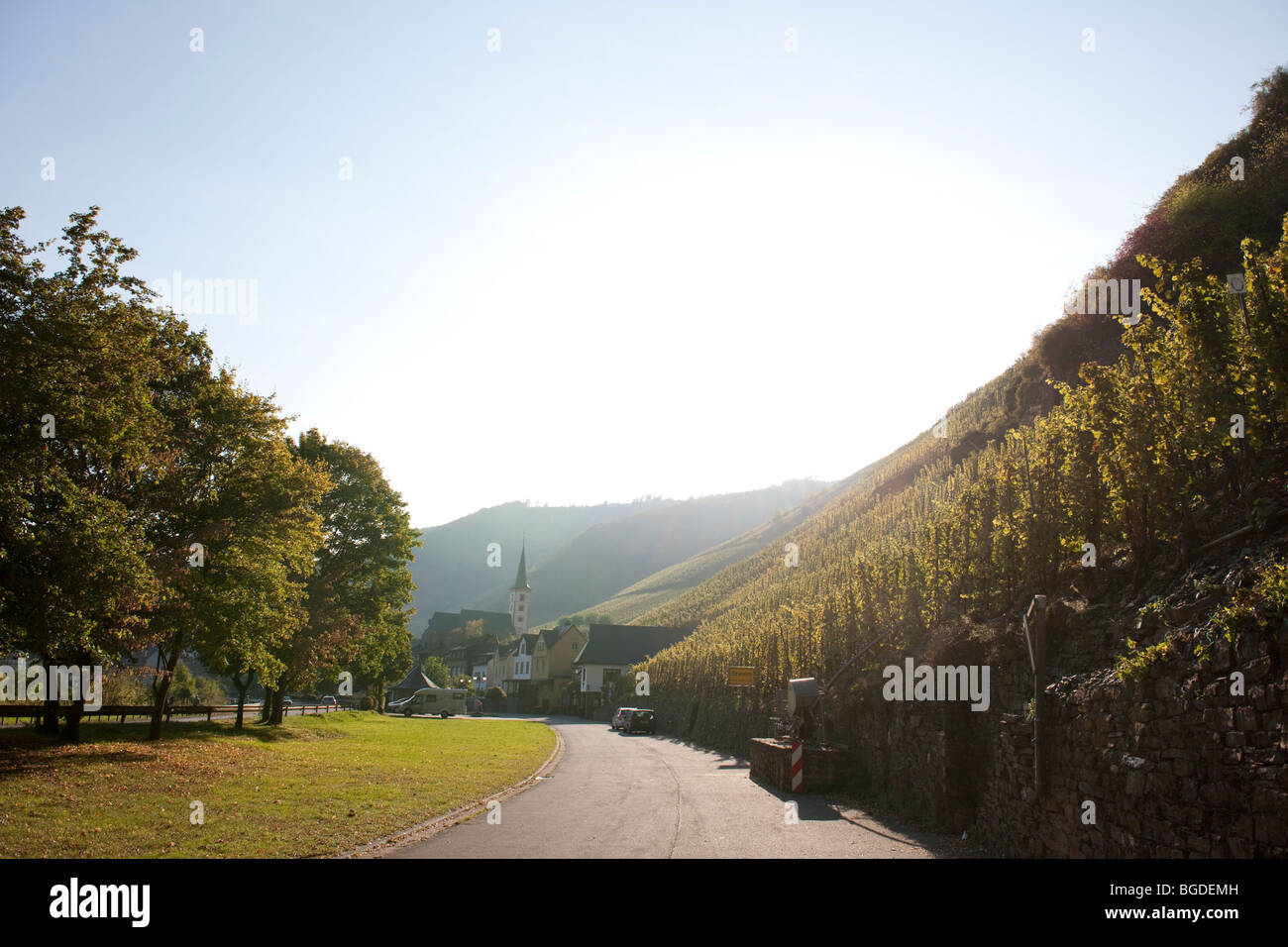 Weinbau Stadt Bremm, Bremmer Calmont mit den steilsten Weinbergen in ...