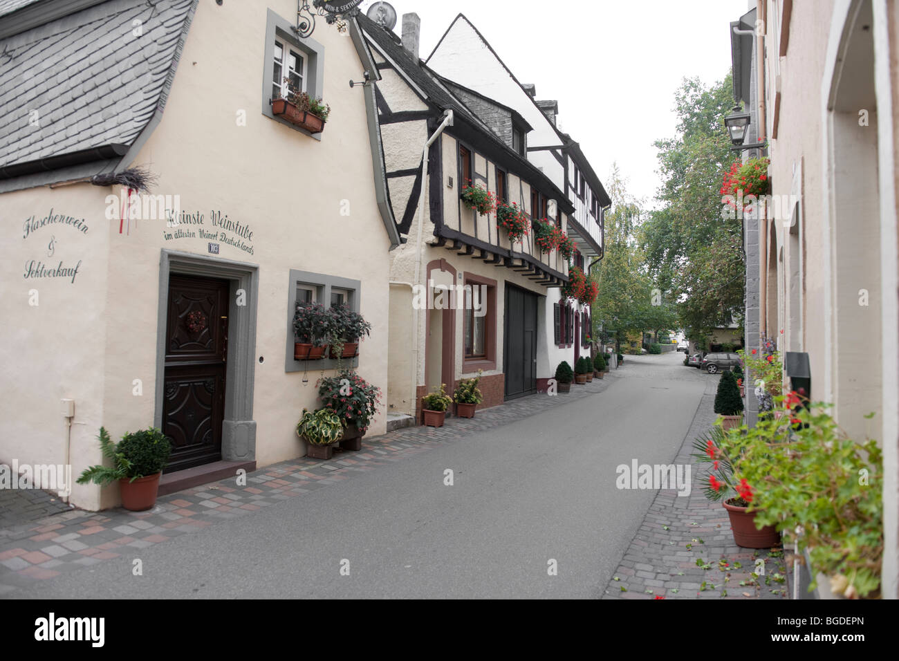 German deutsche weinstrasse pfalz -Fotos und -Bildmaterial in hoher ...