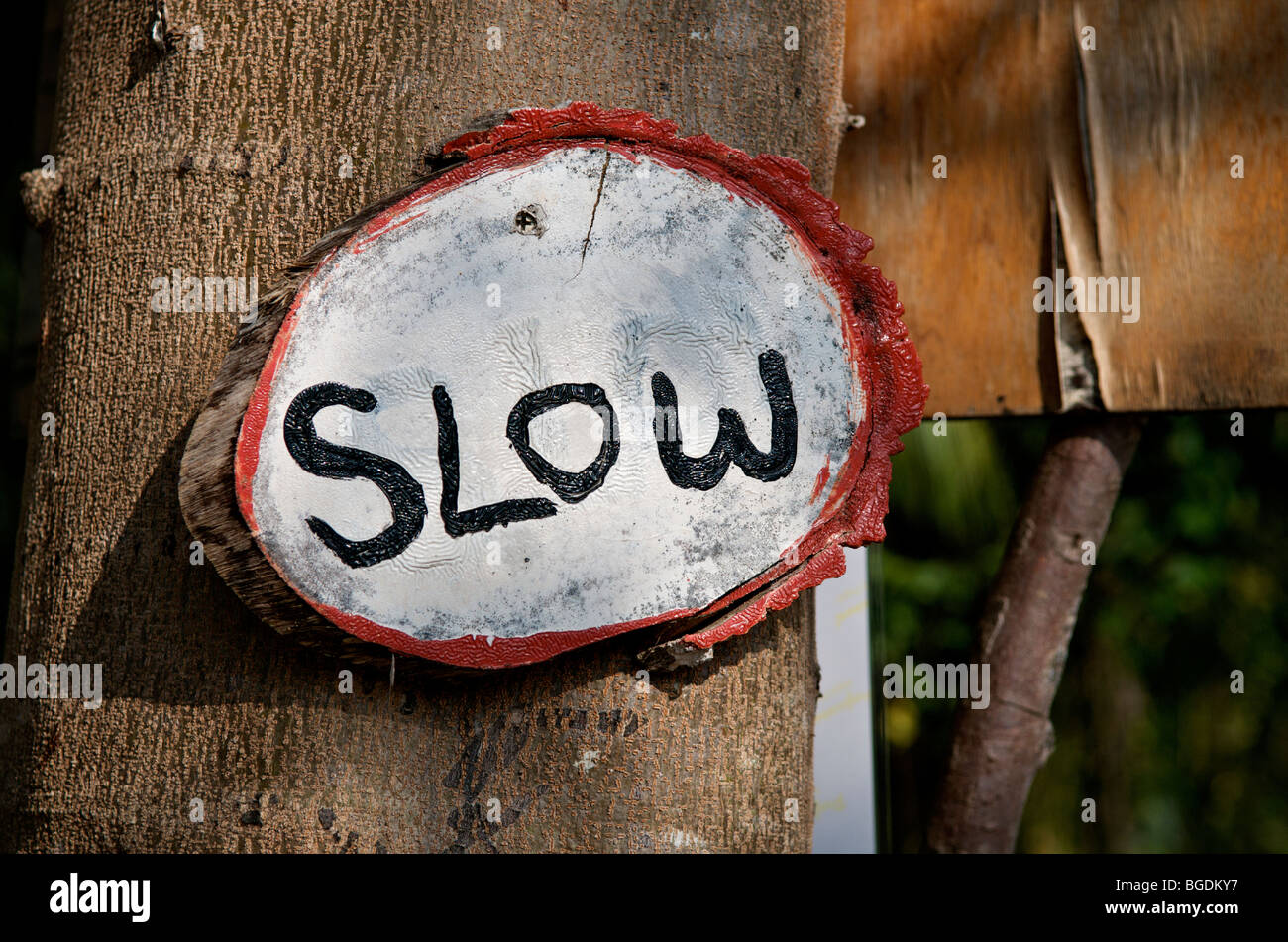 Langsamer beitrag -Fotos und -Bildmaterial in hoher Auflösung – Alamy