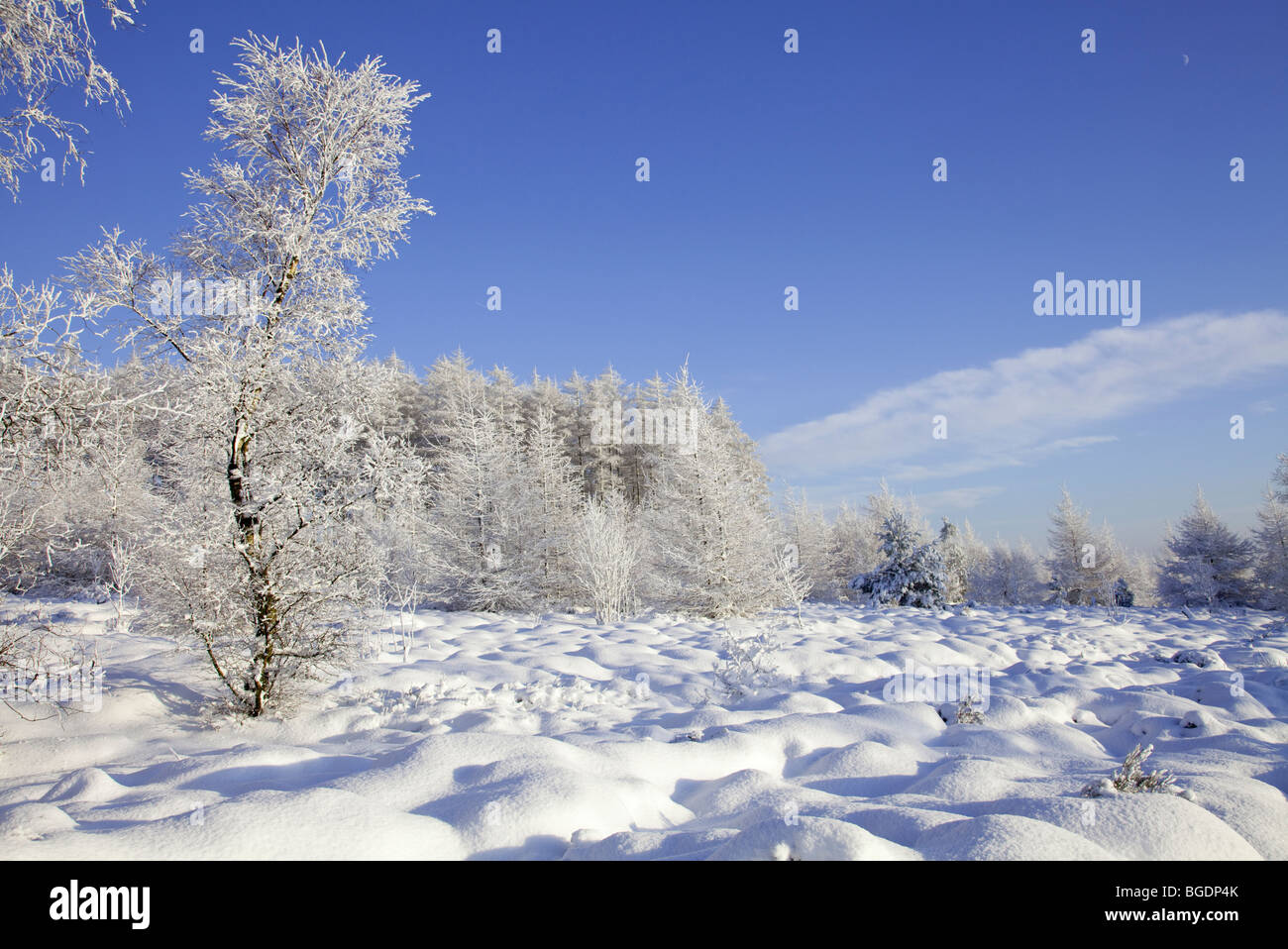 Winter auf den mooren -Fotos und -Bildmaterial in hoher Auflösung – Alamy