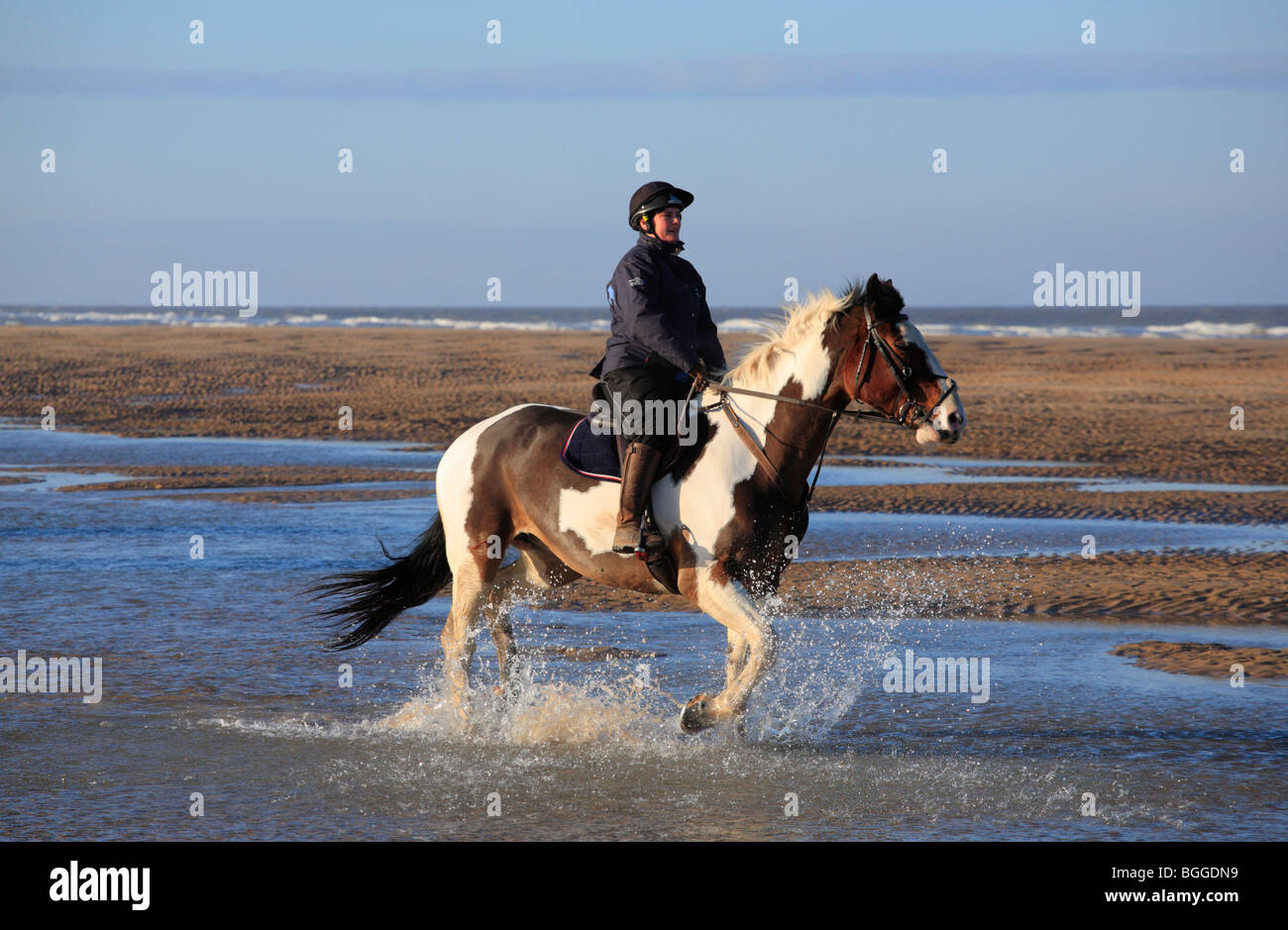 Reiter und pferd am strand -Fotos und -Bildmaterial in hoher Auflösung ...
