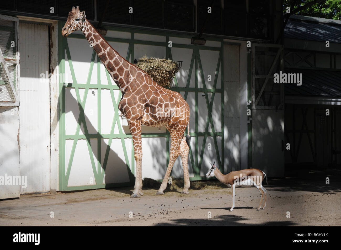 Peta patches -Fotos und -Bildmaterial in hoher Auflösung – Alamy