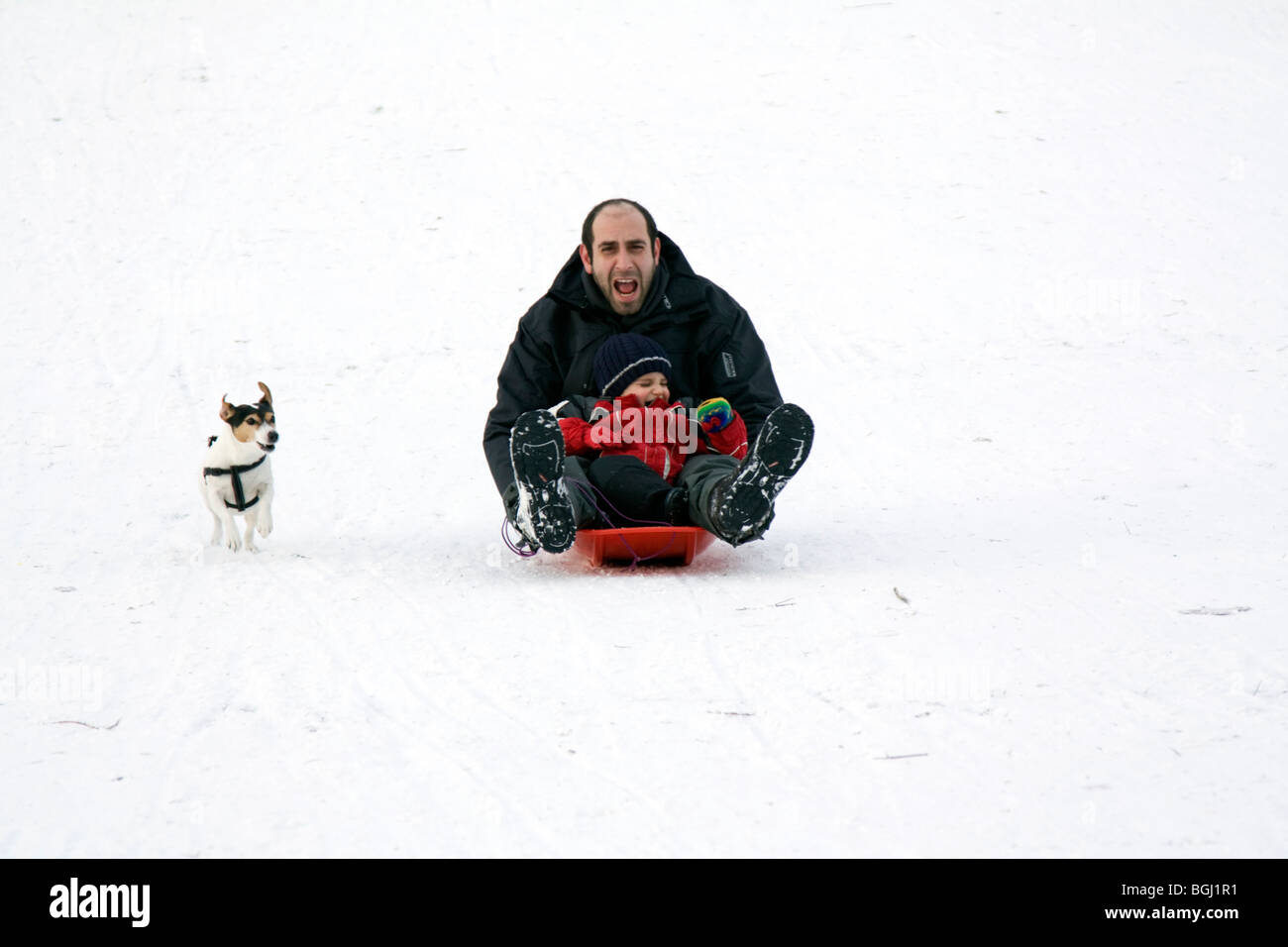 Alexandra palace ice* -Fotos und -Bildmaterial in hoher Auflösung – Alamy