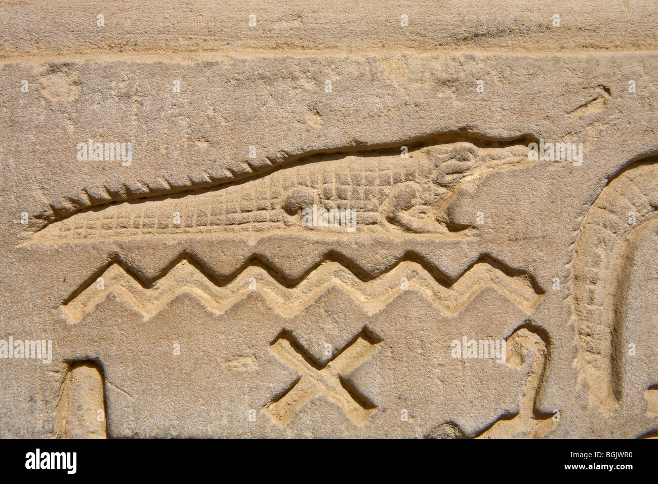 Linderung von Krokodil und Wasser Schild am Tempel von Haroeris und ... Linderung von Krokodil und Wasser Schild am Tempel von Haroeris und ...