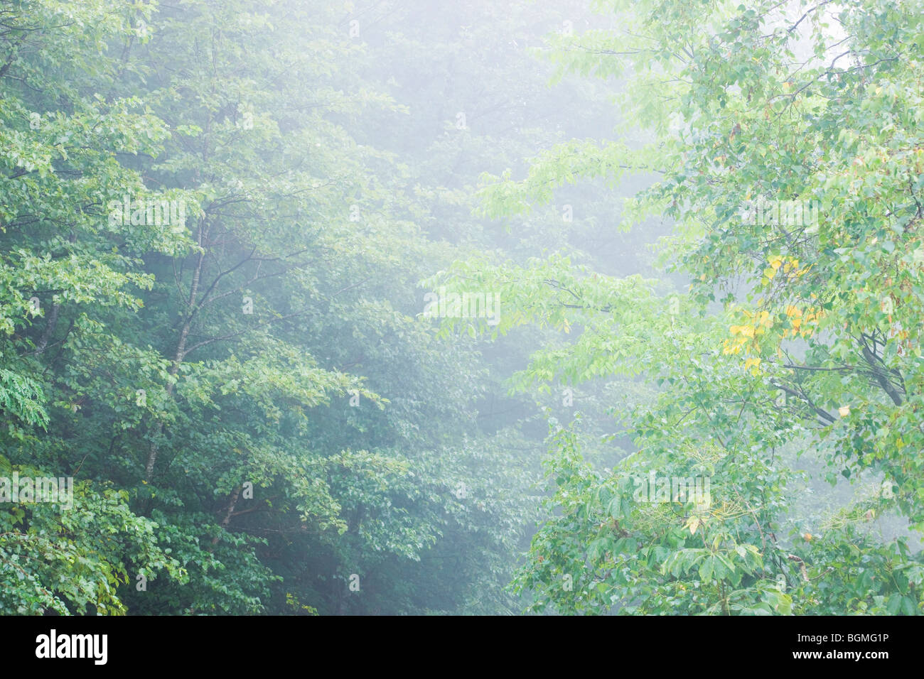 Menschen Im Nebel Stockfotos und -bilder Kaufen - Alamy