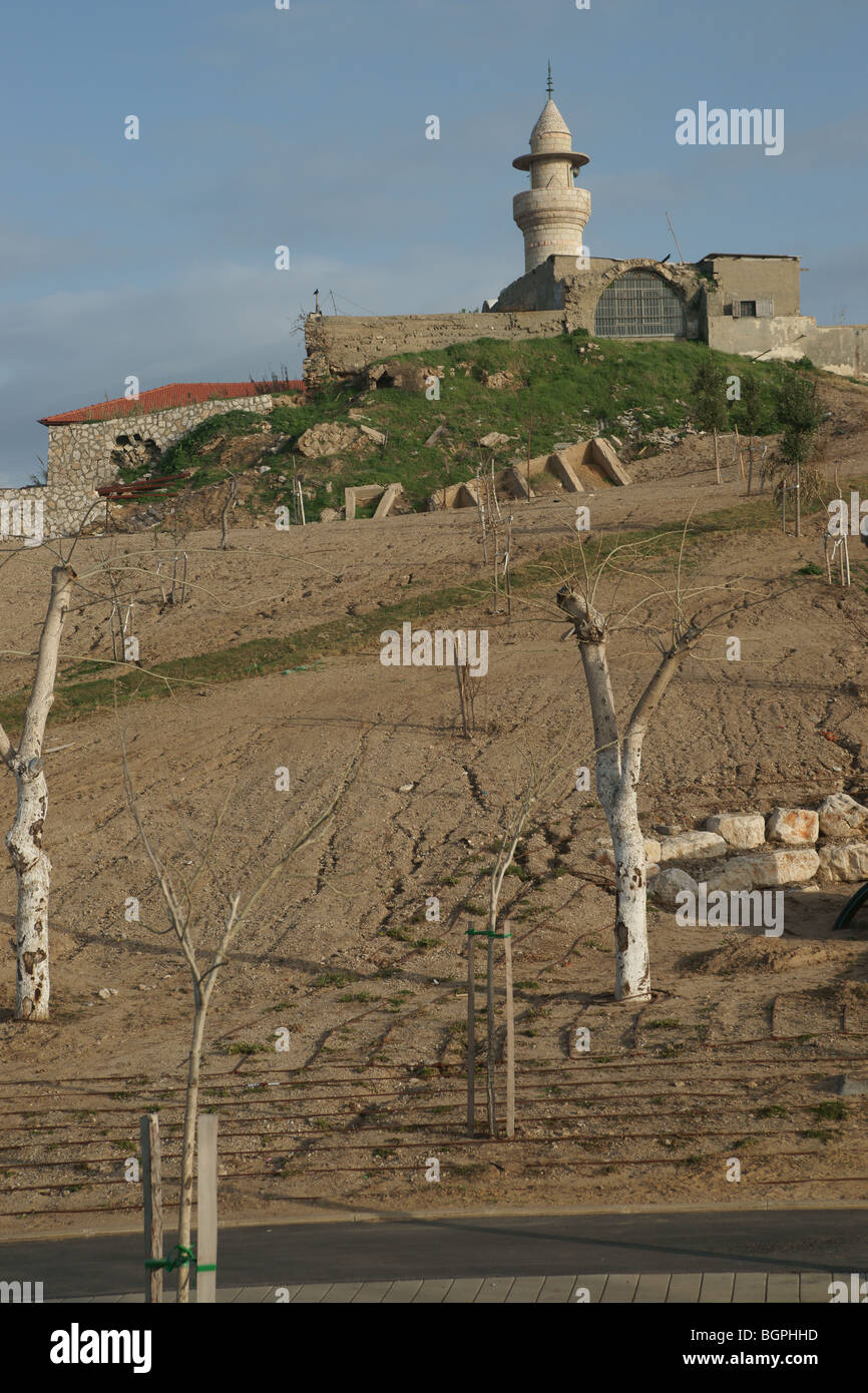 Al ajami -Fotos und -Bildmaterial in hoher Auflösung – Alamy