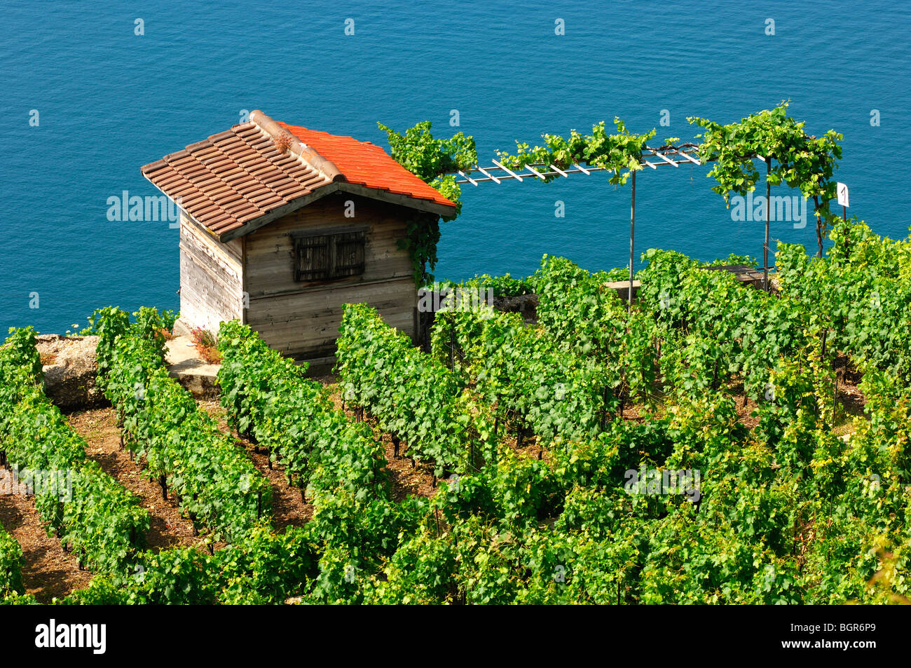Lavaux unesco welterbe region -Fotos und -Bildmaterial in hoher ...