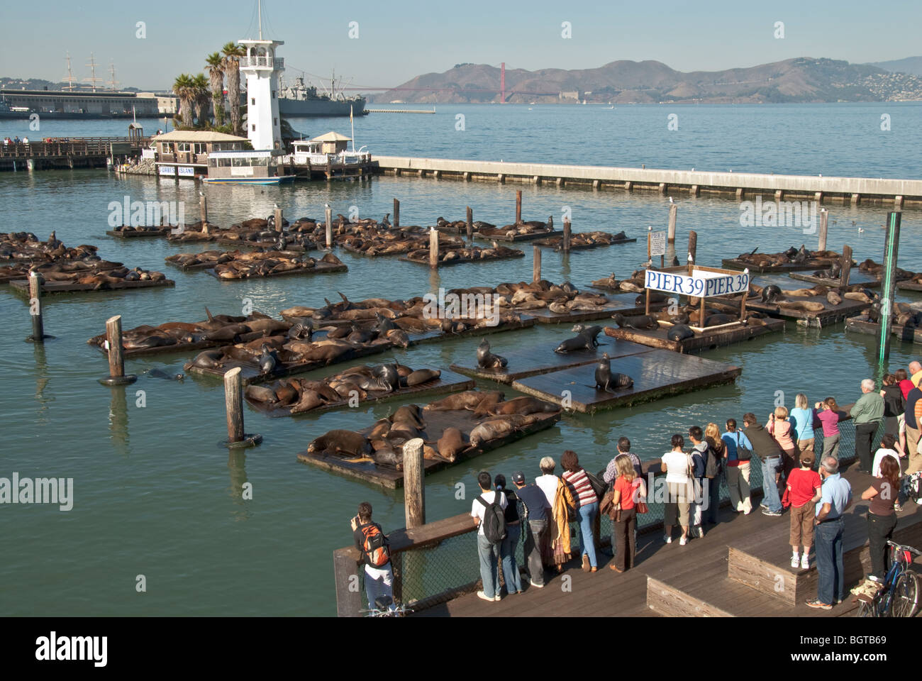 Kalifornien San Francisco Fishermans Wharf Pier 39 Besucher anzeigen ...
