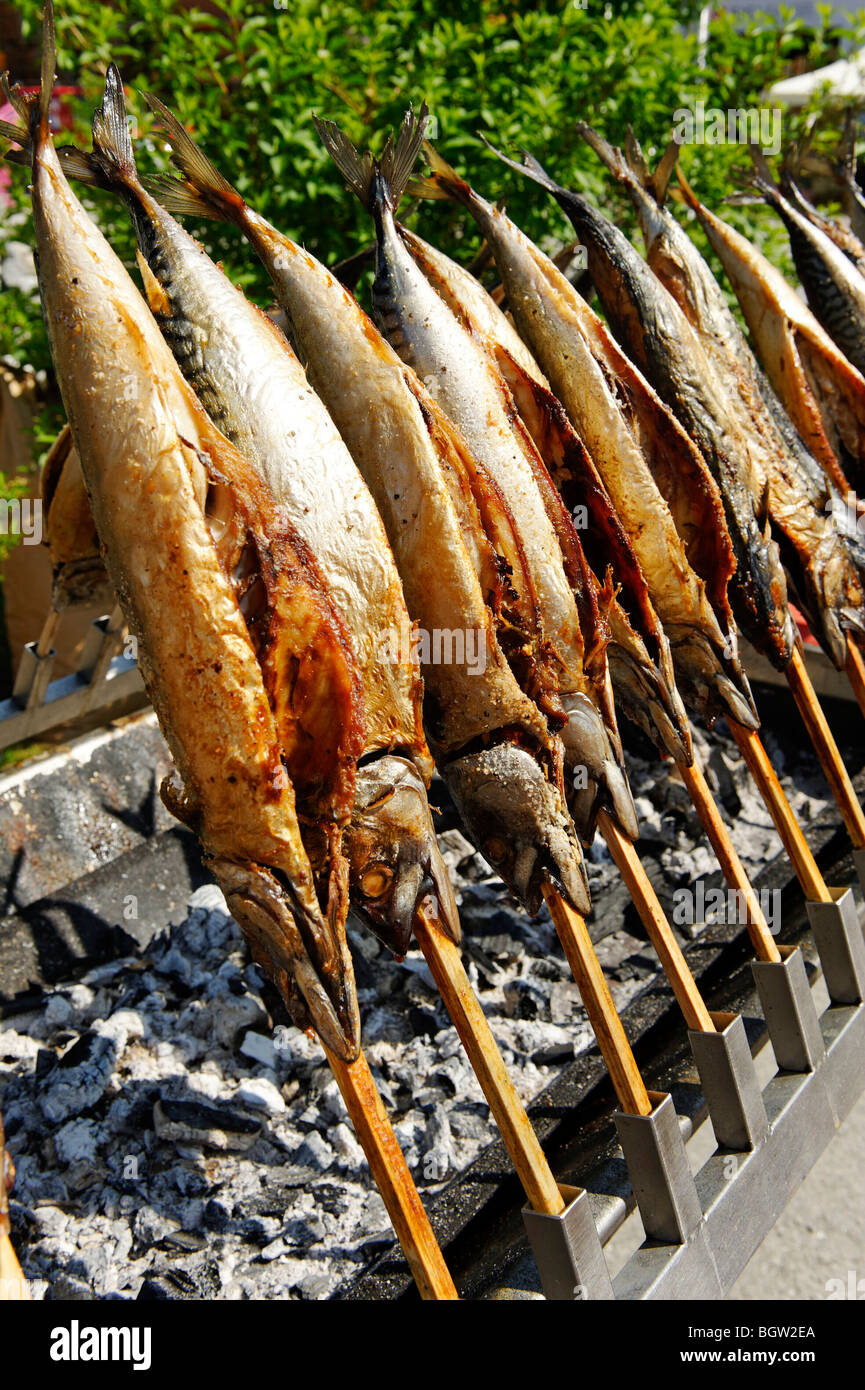 Fisch am Stiel Stockfotografie - Alamy
