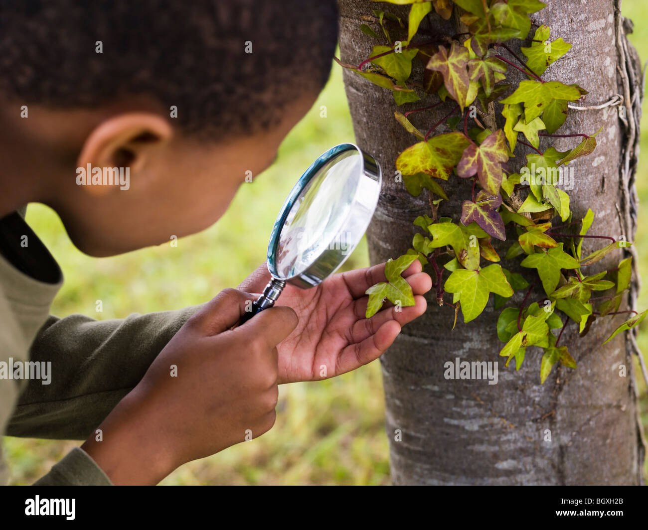 Kind zuschauen -Fotos und -Bildmaterial in hoher Auflösung – Alamy