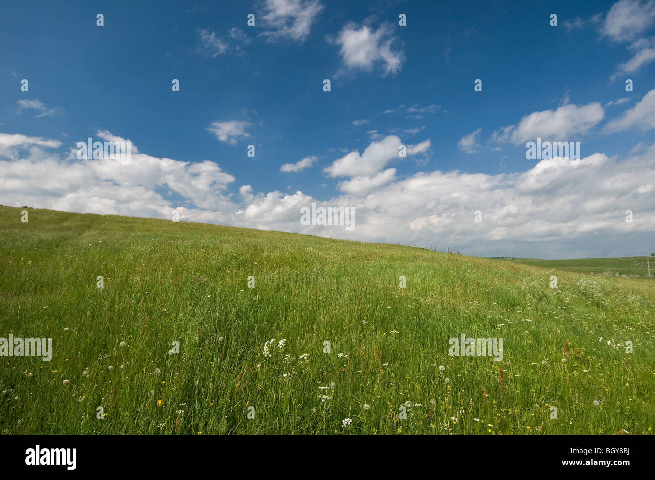 Wiese übersicht -Fotos und -Bildmaterial in hoher Auflösung – Alamy