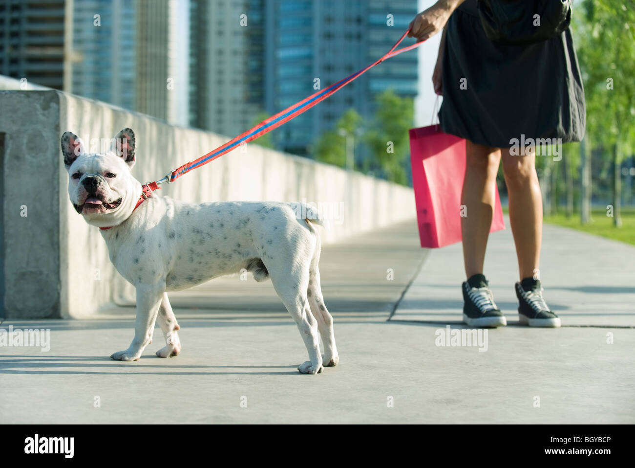 Hundebesitzer thema -Fotos und -Bildmaterial in hoher Auflösung – Alamy