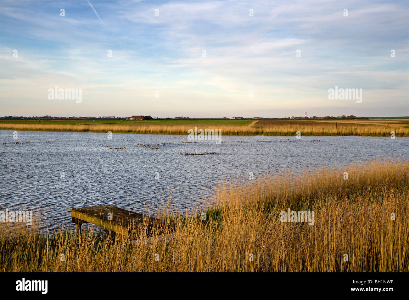 Nordsee insel pellworm -Fotos und -Bildmaterial in hoher Auflösung – Alamy
