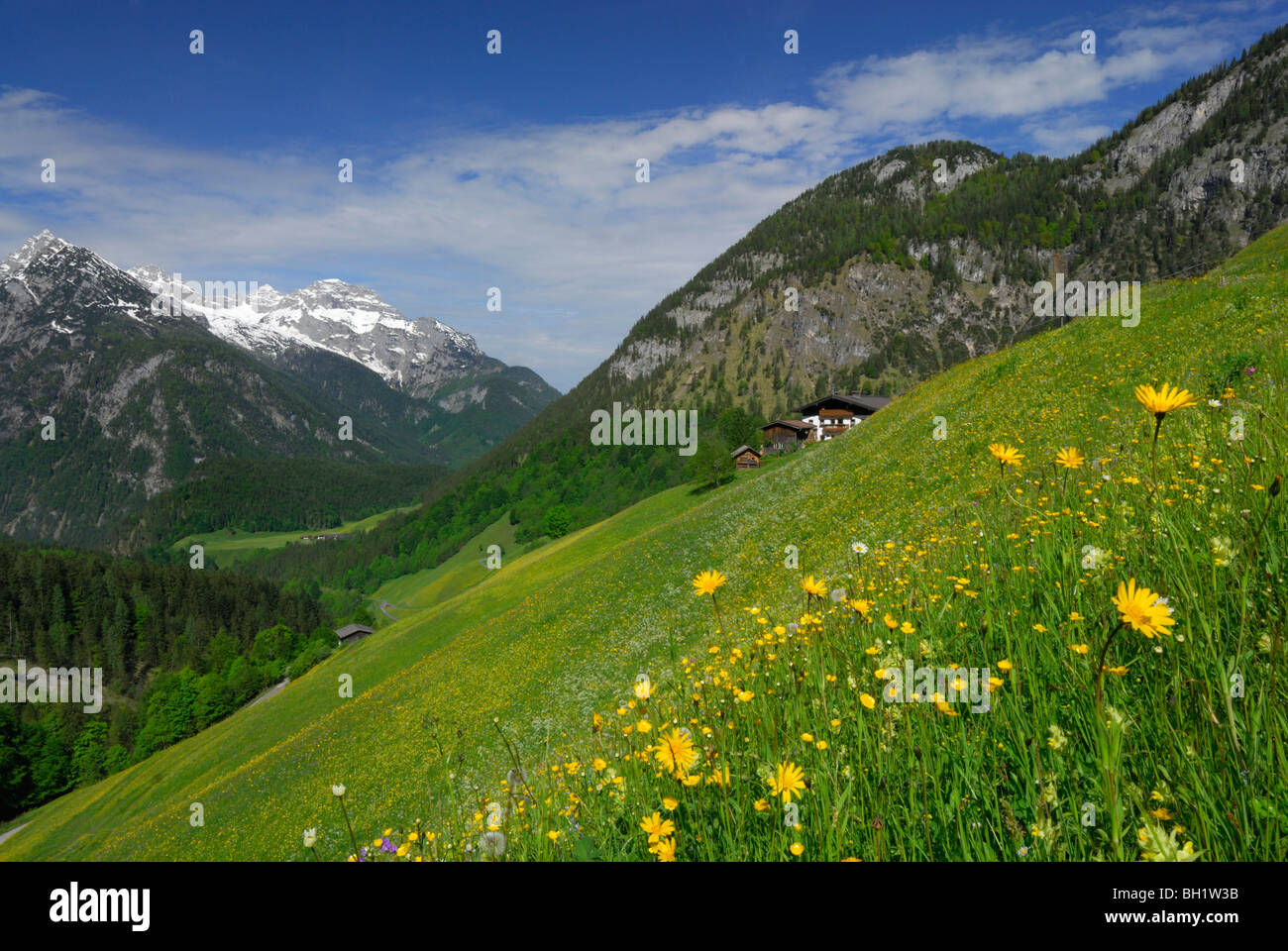 Blick Auf Lofer Stockfotos und -bilder Kaufen - Alamy