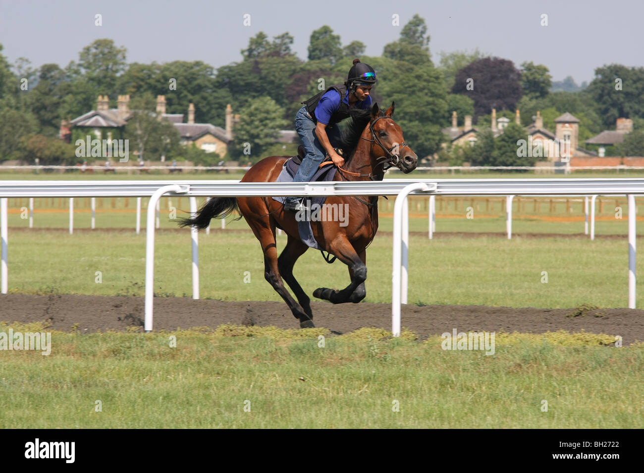 Rennpferd im galopp -Fotos und -Bildmaterial in hoher Auflösung – Alamy